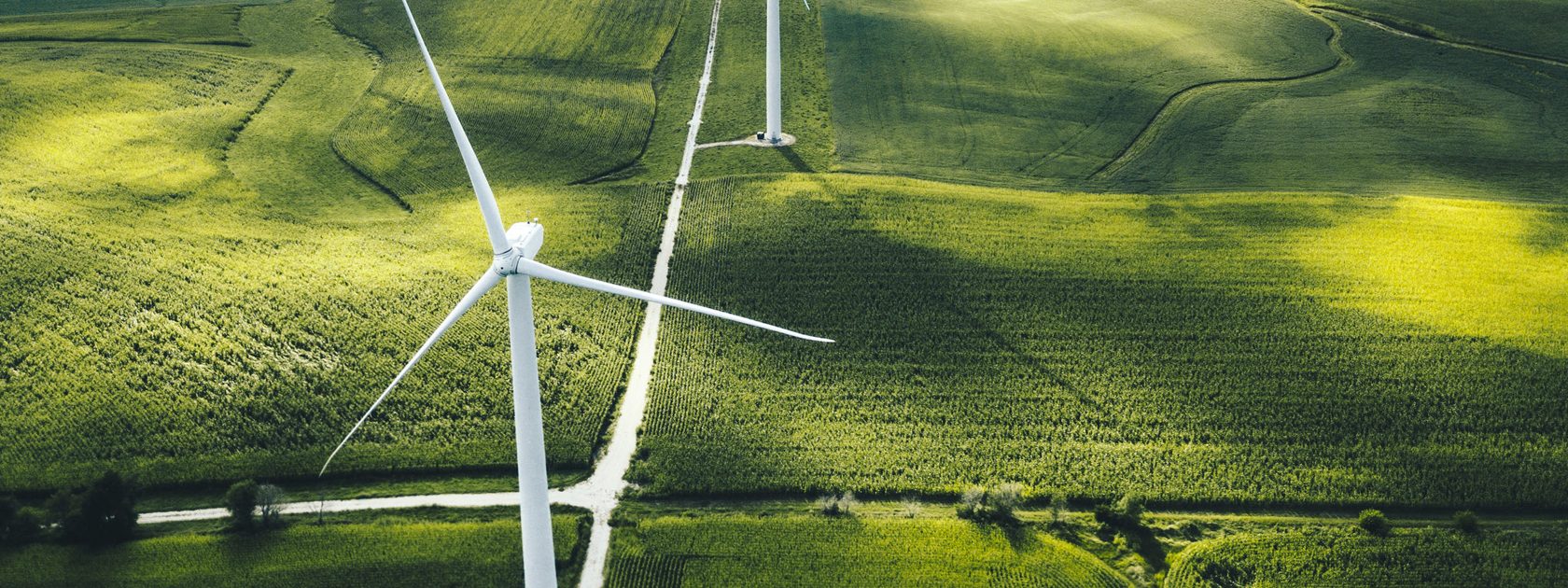 Green, blue and now brown: Why transition bonds offer an exciting ...
