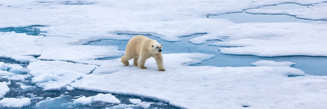Sustainable Investing – the new normal | Standard Chartered