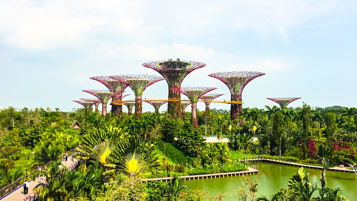 How private capital can power Singapore’s sustainable future